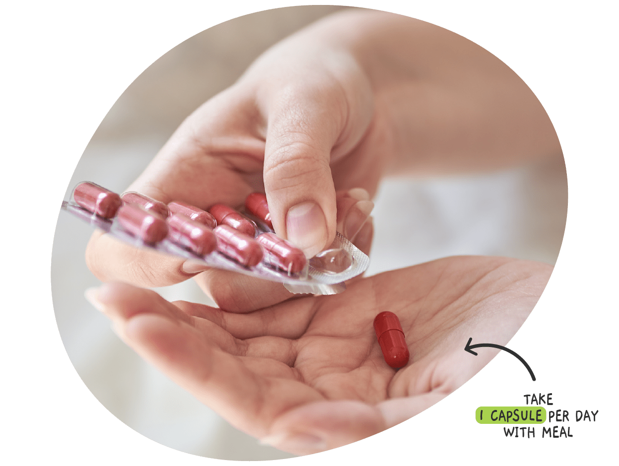 Stressnol daily anti-stress formula for calm life