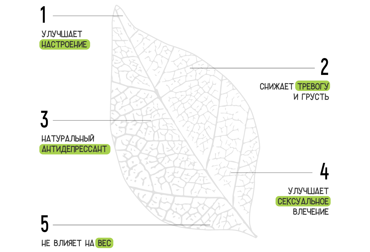 Главная - Stressnol